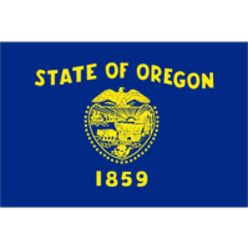 US State Flag Magnets