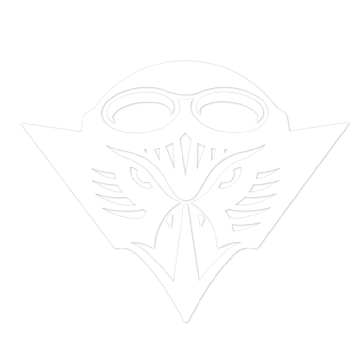 Tennessee Martin Skyhawks NCAA Logo Sticker