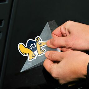 UC Irvine Anteaters NCAA Logo Sticker