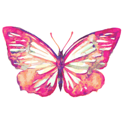 Beautiful Pink Watercolor Butterfly Sticker