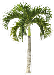 Tall Palm Tree Sticker