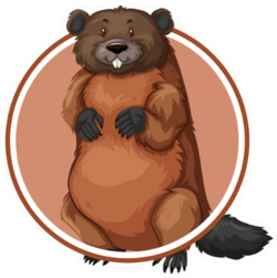 Beaver In Circle Banner Illustration Sticker