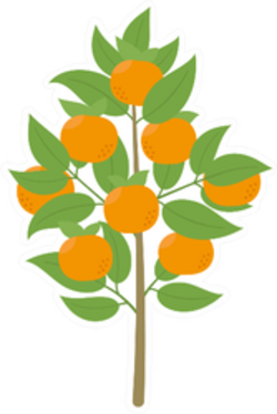 Mandarin Tree Sticker