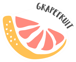 Grapefruit Hand Painted Sticker