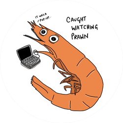 Caught Watching Prawn Sticker