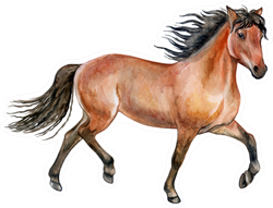 Beautiful Purebred Red Horse Sticker