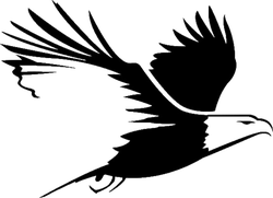 Eagle Flying Transfer Sticker