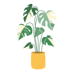Variegated Monstera Tropical Indoor Potted Plant Sticker
