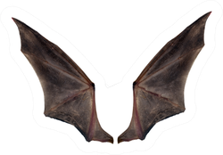 Bat Wings Isolated On White Sticker