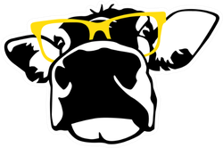 Portrait Of Head Of Cow Sunglasses Sticker