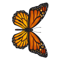 Beautiful Monarch Butterfly Sticker