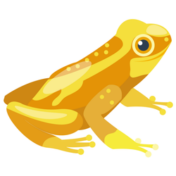 Cute Tropical Yellow Frog Sticker