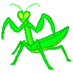Art Of Praying Mantis Sticker