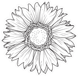 Daisy Line Art Sticker