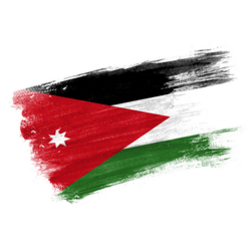 Brush Painted Flag Jordan Sticker
