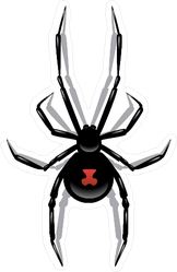 Black Spider Sticker