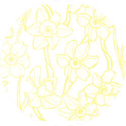 Daffodil Line Work Pattern Circle Sticker