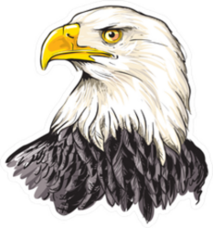Eagle Stickers & Car Decals | Eagle Vinyl Graphics | Car Stickers
