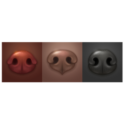 Cute Dog Noses Sticker