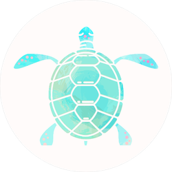 Light Blue Turtle Sticker
