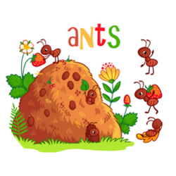 Decorative Ants Illustration Sticker