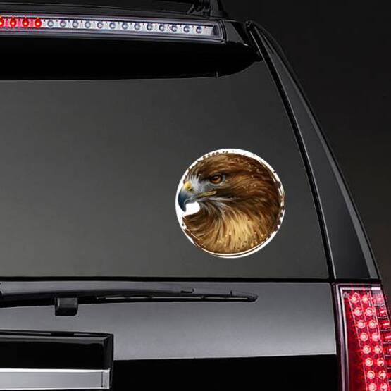 Colorful Hawk Sticker