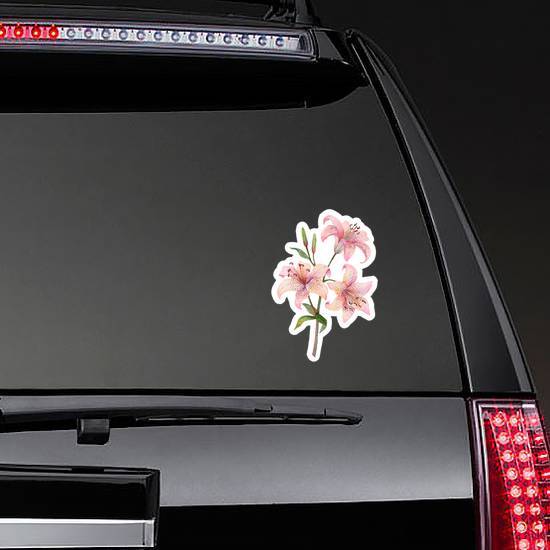 Three Pink Watercolor Lilies Isolated Sticker