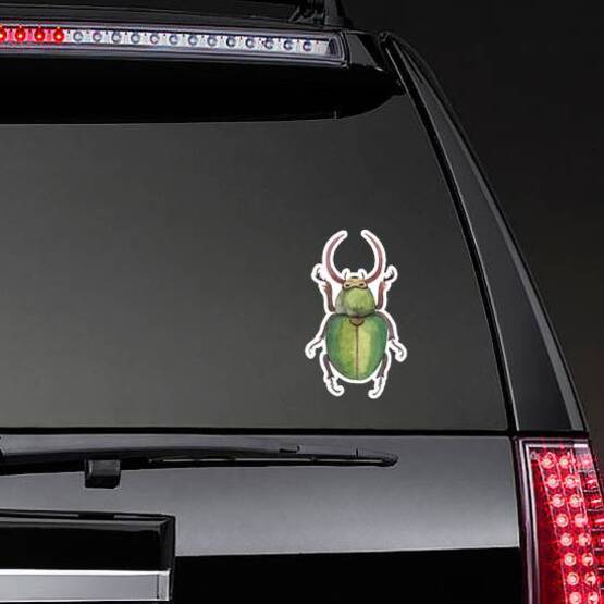 Green Beetle, Insect Watercolor Sticker