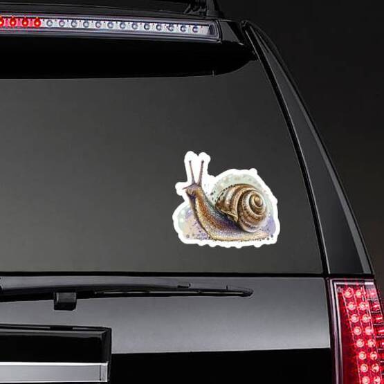 Snail Realistic, Color, Artistic Sticker