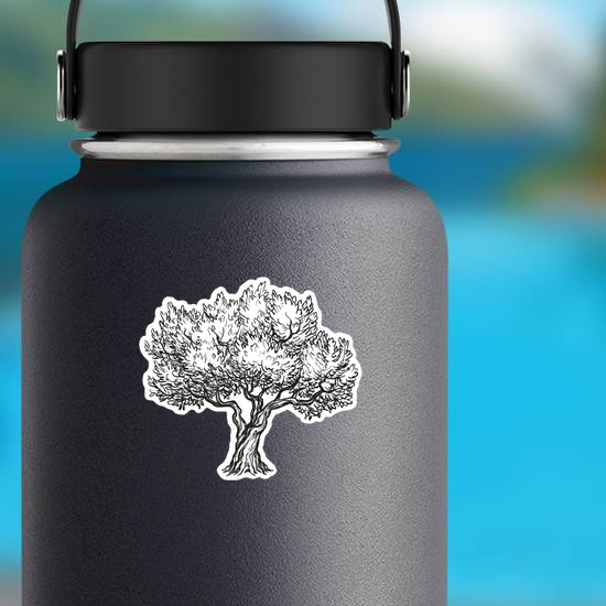 Olive Tree Illustration Sticker