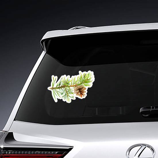 Pine Tree Branch With Cone Watercolor Sticker