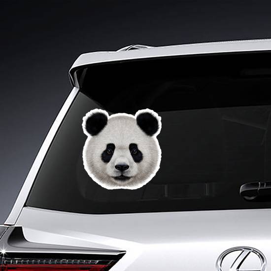 Portrait Of A Realistic Panda Bear Sticker