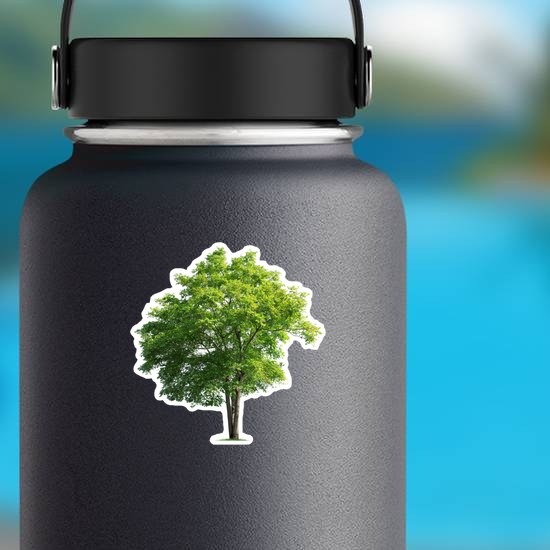 Single Green Tree Sticker