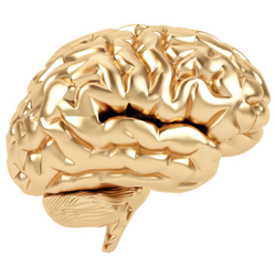 Golden Brain Sticker