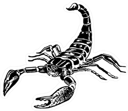 Graphical Illustration Scorpion Sticker