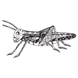 Grasshopper, Black And White With Patterns Sticker