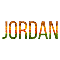 Jordan Written With Leaves Sticker