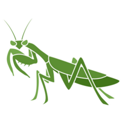 Mantis Illustration In Green Sticker