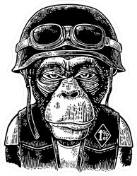 Fun Monkey Stickers & Car Decals – Dozens of Different Designs