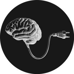 Monochrome Negative Human Brain Plug Sticker