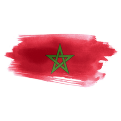 Morocco Flag Grunge Painted Sticker