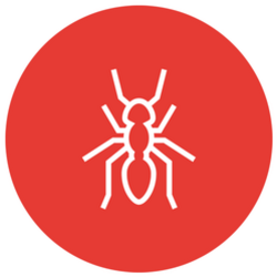 Red Ant Circle Sticker