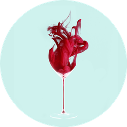 Wine Car Decals & Stickers - Dozens of Designs | Car Stickers