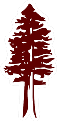 Redwood Tree Icon Sticker