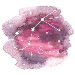 Scorpio Zodiac Sign Pink Watercolor Illustration Sticker