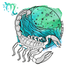Scorpio Zodiac Sign Watercolor Splash Scorpion Sticker