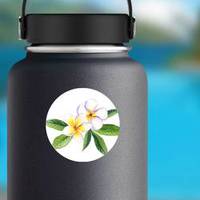 Frangipani Plumeria Flowers With Leaves Watercolor Sticker