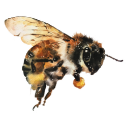 Watercolour Painting Of Flying Bee Sticker