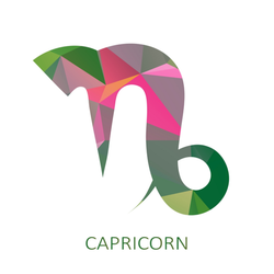 Zodiac Sign Capricorn Pink & Green Sticker