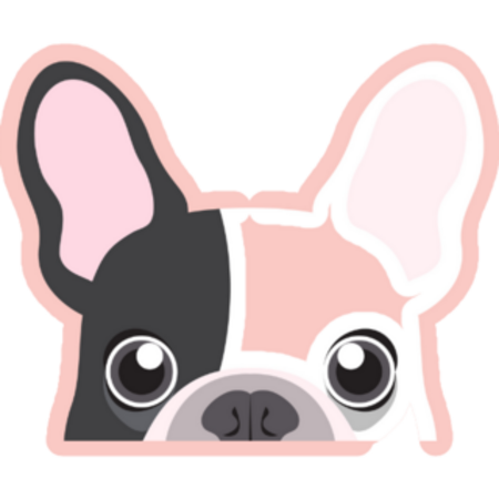 Adorable Frenchie Is Begging Sticker